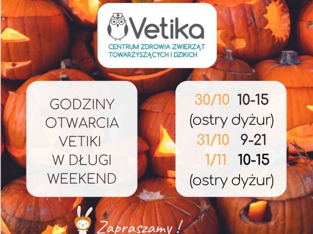 Przychodnia Weterynaryjna Vetika - Weterynarz Kraków